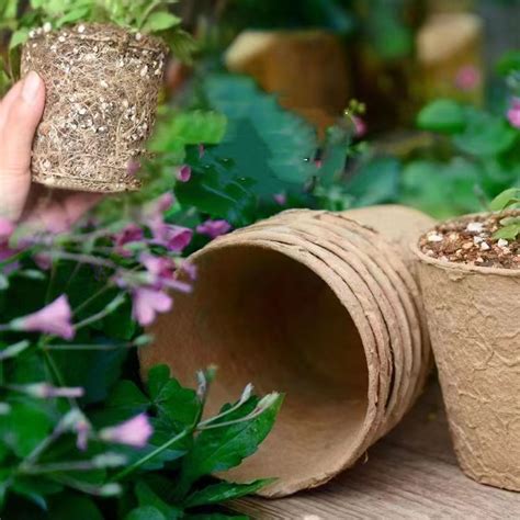 Seedling Tray Kx Pack Your Direct Packaging Producer