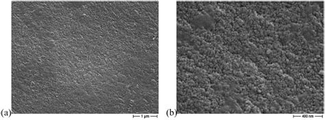 fe sem micrographs of the sio2 ay matrices a 20k× b 60k×
