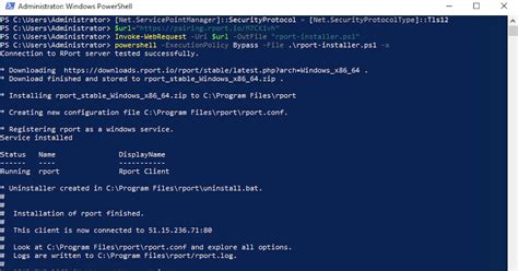 Rport Open Source Remote Access Remote Management And Automation For Any Os