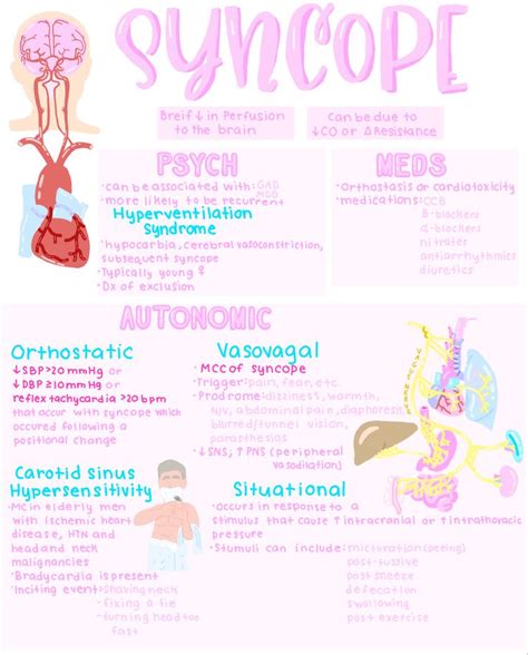 Syncope Notes Nursing School Survival Nursing School Motivation Physician Assistant School