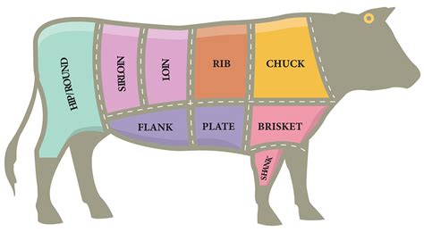 Cuts Of The Cow Diagram Meat Cow Cuts Organic Beef Diagram W