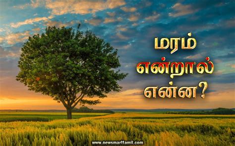 மரம் வளர்ப்போம் Grow A Tree In Tamil New Smart Tamil