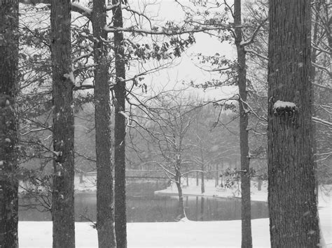 The Poetry Of R E Slater Cyndi Mccoy Cyndis Poem