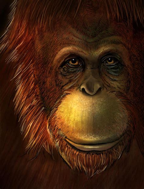 Gigantopithecus Is Related To Modern Day Orangutans New Study Shows Paleontology Sci News Com