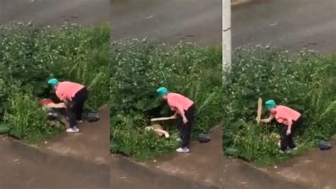 Couple Caught Having Sex In Bush By Furious Woman Who Hits Them With Plank Of Wood Daily Star