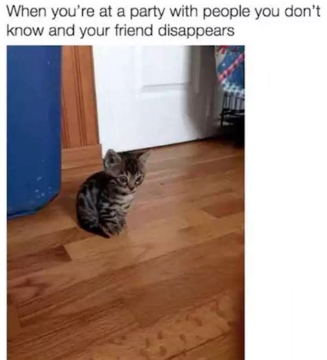 49 Introvert Memes To Read Instead Of Going To The Party