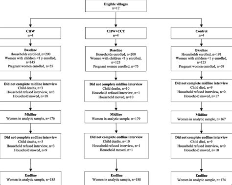Study Flow Diagram Chw Community Health Worker Cct Conditional Cash
