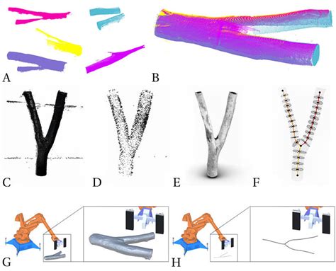 A Individual Scans B Aligned Pointclouds Mesh Skeletonization Download Scientific Diagram