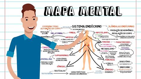 Sistema Endócrino Mapa Mental RECTORY