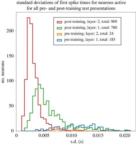 A New Approach To Solving The Feature Binding Problem In Primate Vision Interface Focus
