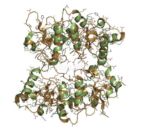 brca1 breast cancer type 1 susceptibility brct domain dna repair