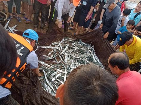 青鱗仔回歸，蹦火閃閃吸睛，邀您一同來趟「金厲害」的文資之旅！ 蕃新聞