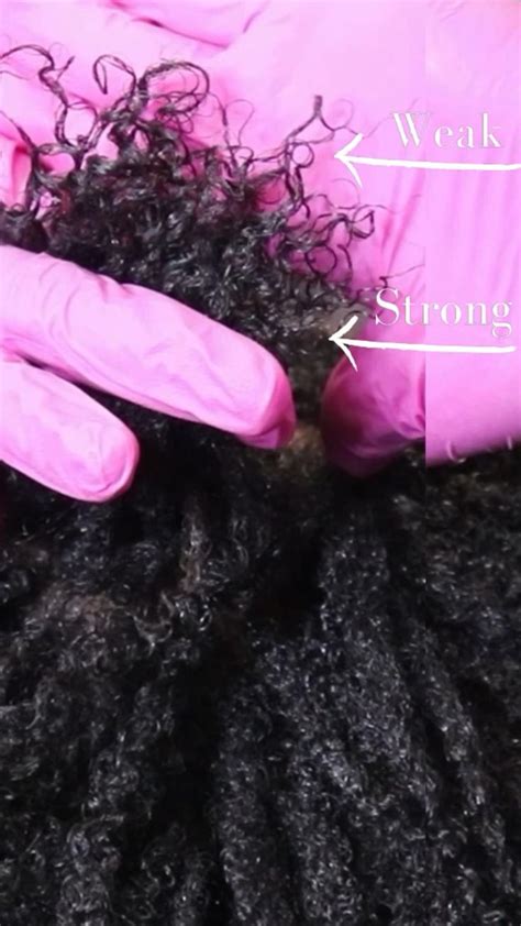 How To Repair Damaged Natural Hair Natural Hair Styles Damaged Hair