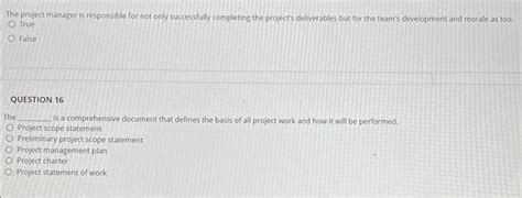 Solved The Project Manager Is Responsible For Not Only Chegg