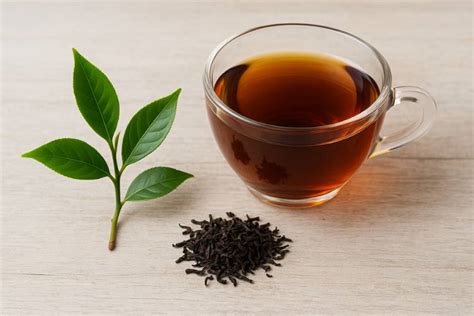 9 Benefícios Do Chá Preto E Como Tomar