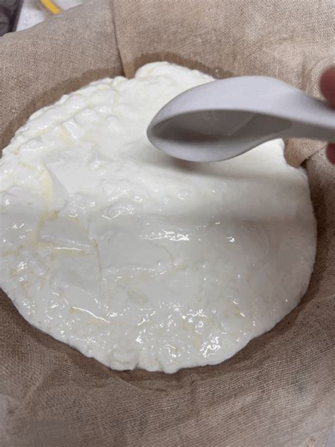 진득하고 눅진한 수제 그릭요거트greek Yogurt 직접 만들어 먹기