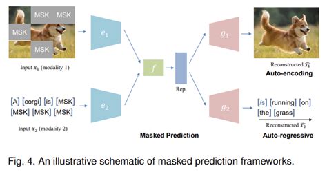 Self Supervised Multimodal Learning A Survey