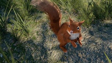 Whos Kicking The Squirrel In Baldurs Gate 3 I Just Wanna Talk