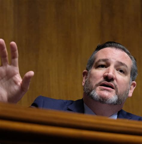 Openai Releases Chatgpt The Verge