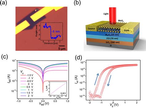 A Optical Image Of Prepared Mos2 Transistor On The Al2o3 Ito Sio2 Si