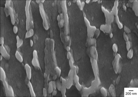 Etched Stellite 6 Coating Cross Sectional Image Close Up Within A Download Scientific Diagram