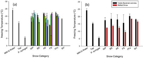 Ice Nucleation Activity Of Viable Cultivable Bacteria In Arctic