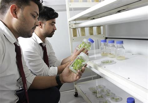 B Tech In Biotechnology Engineering Salary Scope Fee 2023