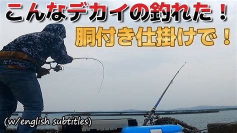 【沖縄釣り】【海中映像】胴付き仕掛けでこんなデカイ魚が釣れるた！？ビックリ！！海中映像もあるよ！初心者から上級者まで簡単に？釣れる！ 山陰釣り新報