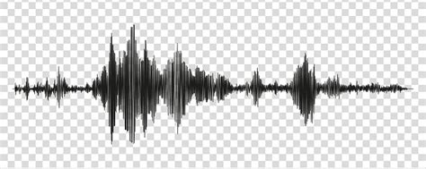 Seismograph Measurement Or Lie Detector Graph Seismic Measurements With Data Record Vector