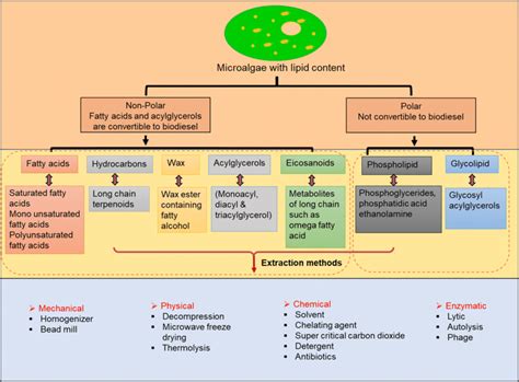 Types Of Microalgal Lipids Extraction Methods And Valuable Products