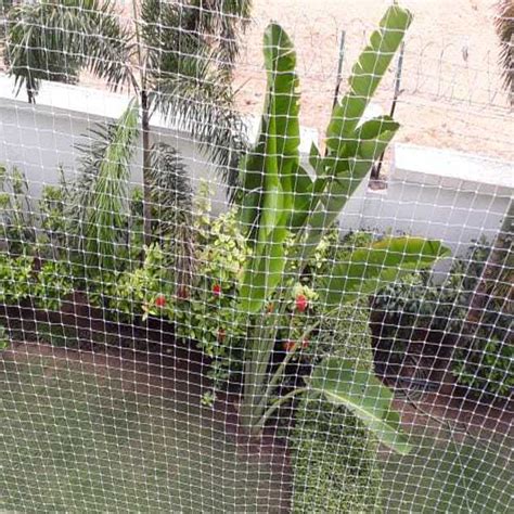 Bird Net Installation Service World Net Enterprise