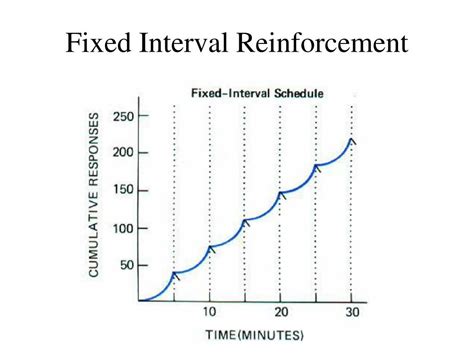 ppt reinforcement schedules powerpoint presentation free download