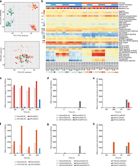 Global Transcriptome Analysis Of Macrophages Mφ And Fibroblasts Fb