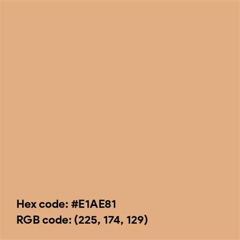 Mimosa Color Hex Code Is E1ae81
