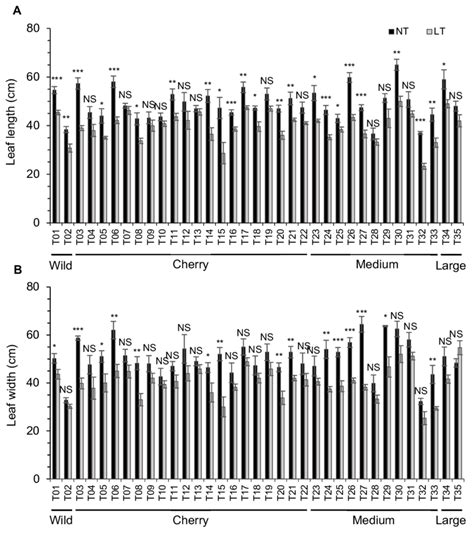 The Analysis Of Vegetative Traits On A Leaf Length And B Leaf Width Download Scientific