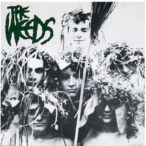 Dunedin Sound Tapes