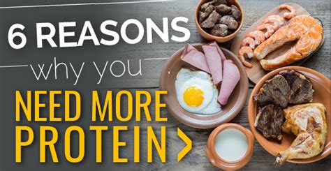 6 Reasons Why You Need More Protein Jmax Fitness