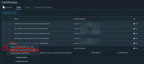 Renewing Nsx T Localmanager Certificates