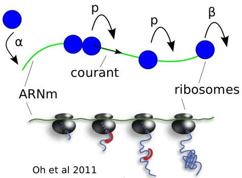 Gem Eric Rivals Group