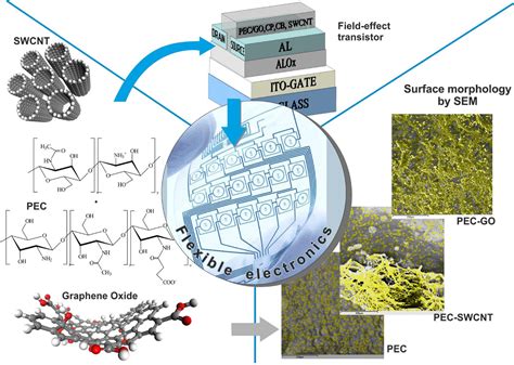 Chitosan Based Polyelectrolyte Complex In Combination With Allotropic Forms Of Carbon As A Basis