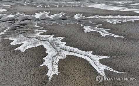 한파가 그린 그림 연합뉴스