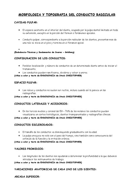 Conducto Radicular I Pdf Diente Anatomia Dental