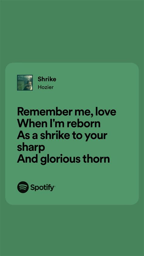 Hozier Hozier Cool Lyrics Lyrics