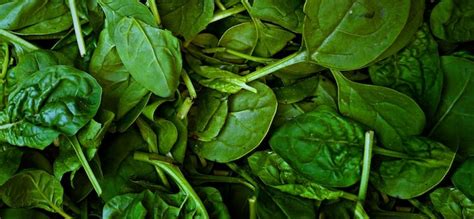 Premium Photo Vintage Textured Stone Suface