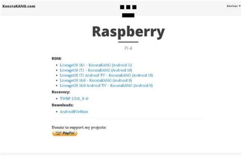 Der N Tzlichsten Raspberry Pi Betriebssysteme Bersicht