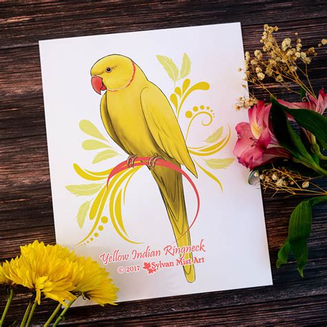 Yellow Indian Ringneck Parrot By Sylvanmist On Deviantart