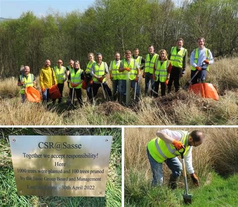 Sasse Group Uk On Linkedin Forest Trees Forest Trees Csr