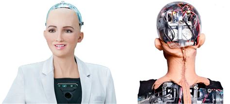 Affective Social Robot Meet Sophia An Example Of An Afc Type Iii Download Scientific Diagram