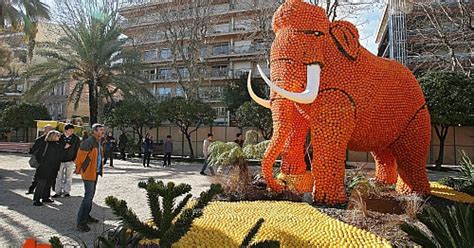 프랑스 망통 78회 레몬축제