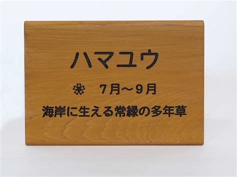 株式会社ボックスウッド様の設置例 樹名板 木製で低価格